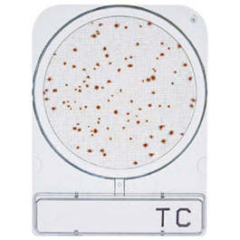 Compact Dry TC (recuento total) - Scharlab