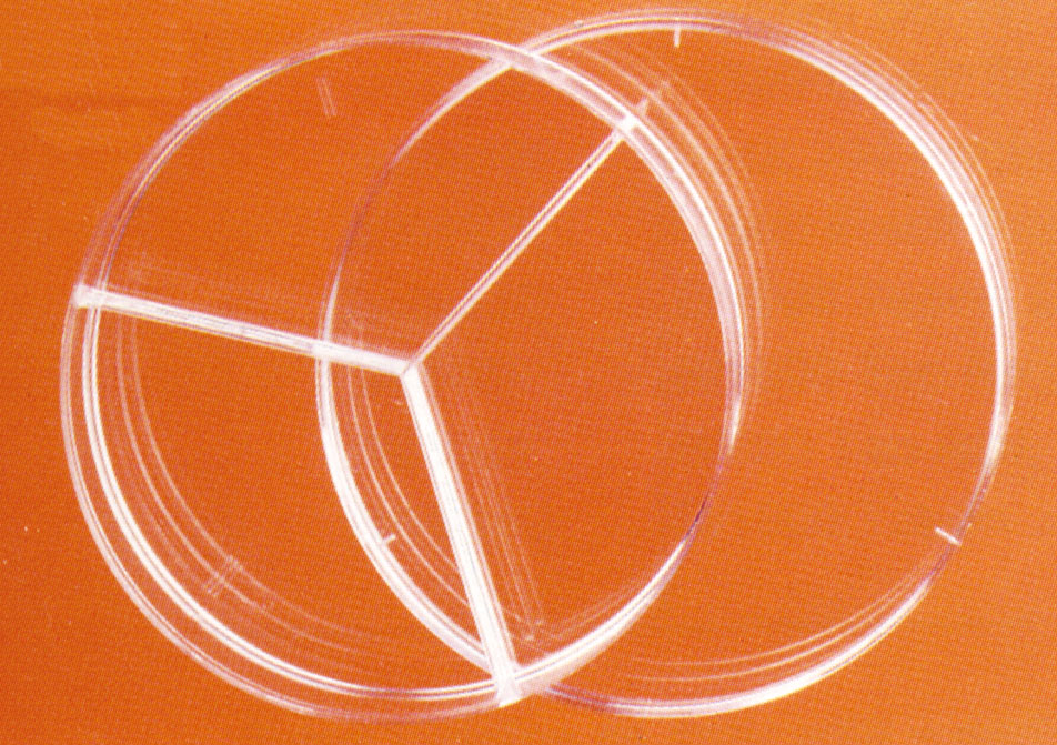 Petri dishes and accessories for laboratory | Scharlab