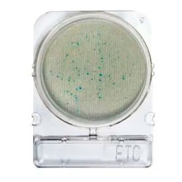 Chromogenic media COMPACT DRY® | Scharlab